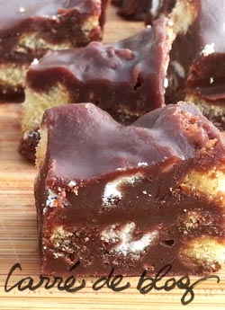 Pavé au chocolat d'Aude, ideal pour les amateurs de costaud-choco